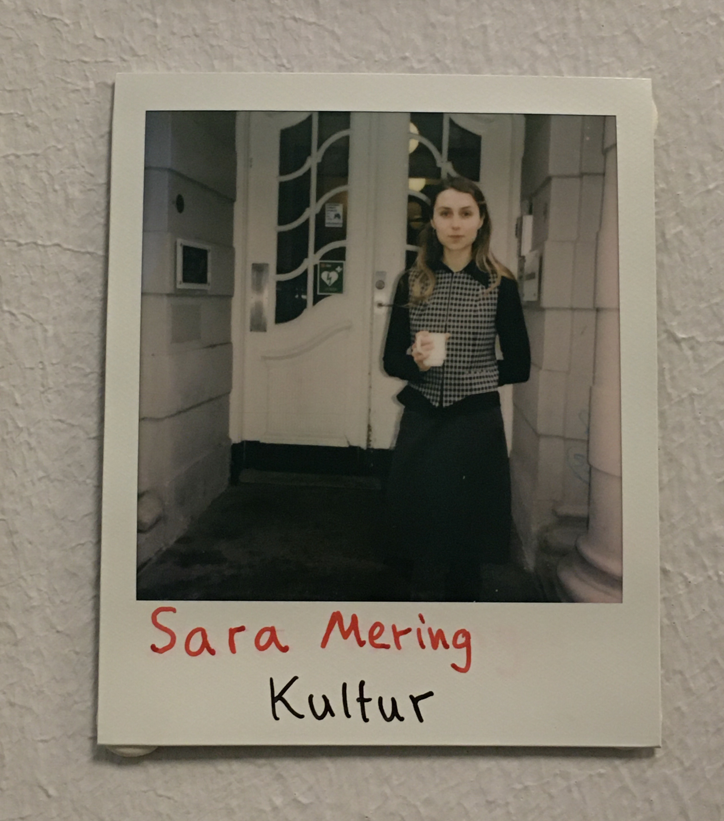 Published Work – Sara Mering